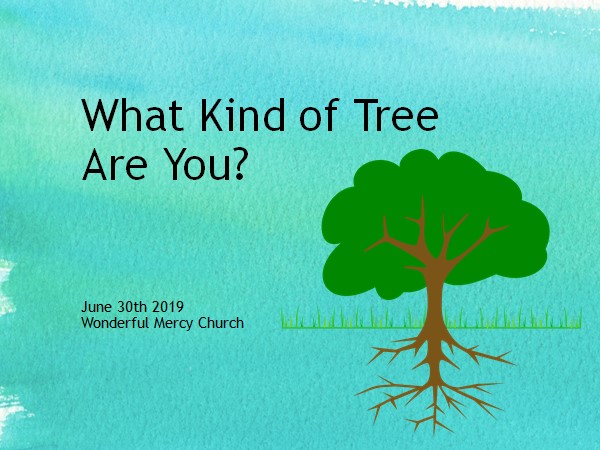 What Kind of Tree Are You? – From Pops' Workshop